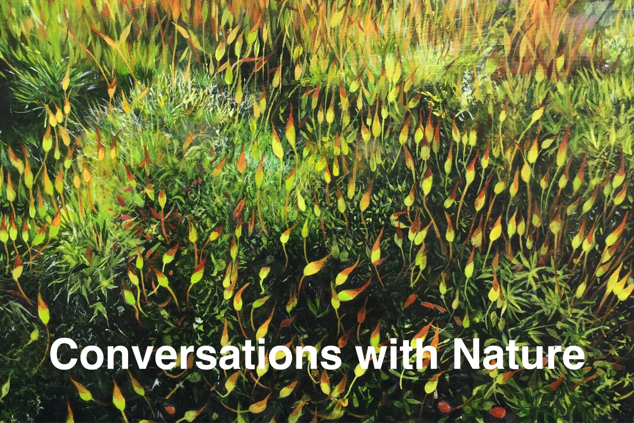 'Conversations with Nature' exhibition, Wakefield - NATALIE DOWSE